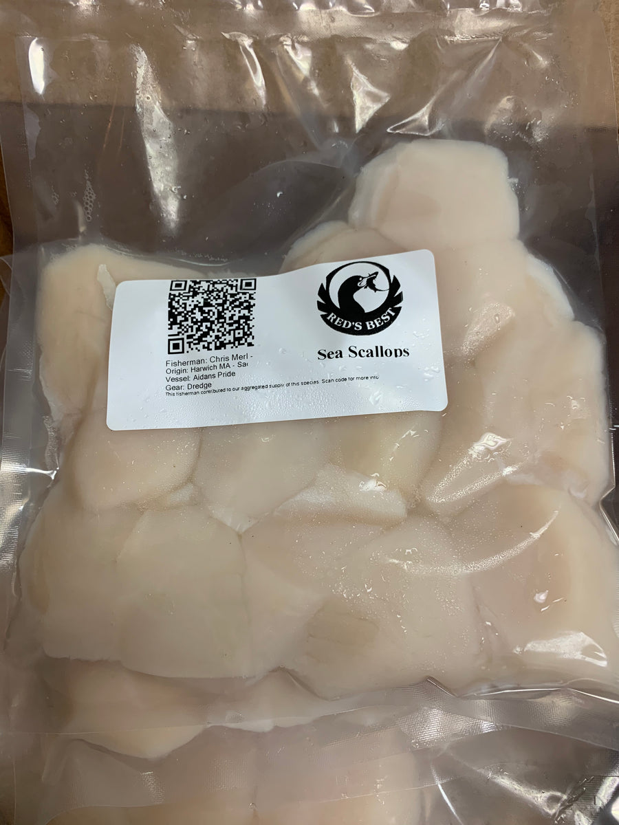Fresh and quickly frozen- East Coast Cape Cod Dry Scallops 10/20 count ...